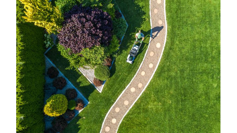 Réveillez votre pelouse après l'hiver : nos astuces pour un gazon parfait